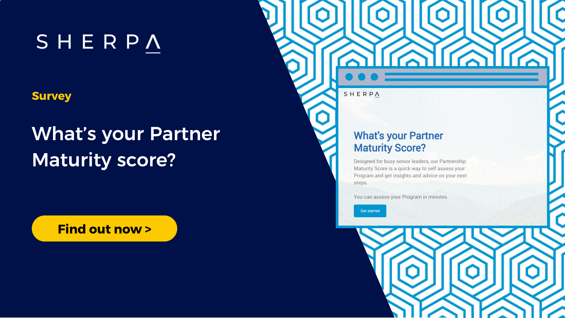What's your Partner Maturity Score?